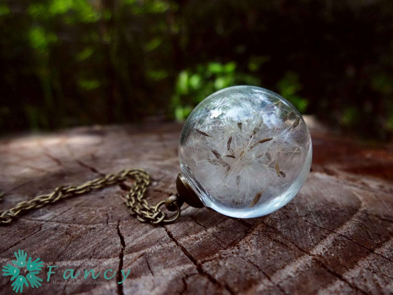 Real Dandelion Necklace - Dandelion Seed Necklace - Make A Wish ...